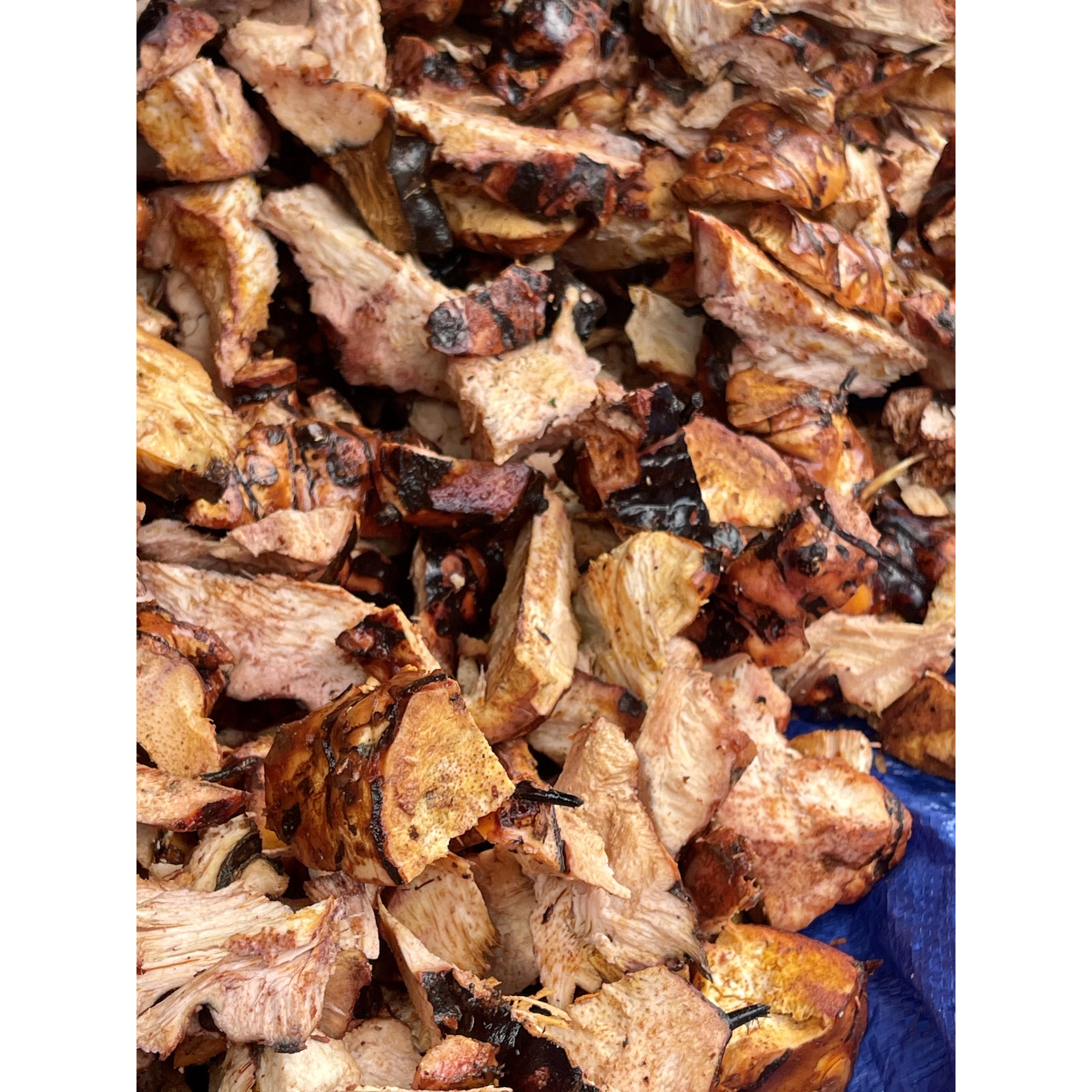 Jamaican Chaney Root, Cocolmeca – Jahno Herbs